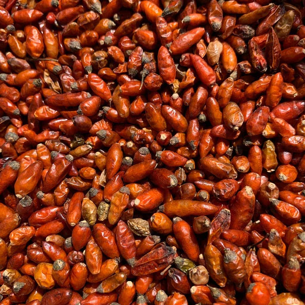 The Ultimate Chile (Chili Peppers) Guide - Eating With Carmen Food Tours