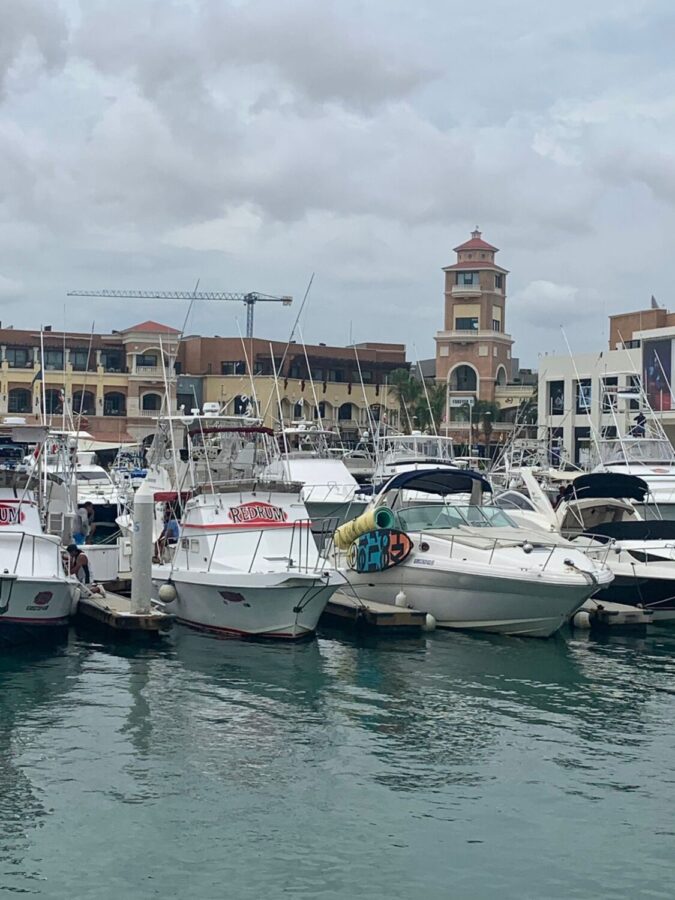 6 Top Places to Eat in Los Cabos! - Eating With Carmen Food Tours
