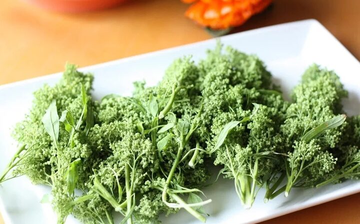 Huauzontle: The Mexican Vegeterian SuperFood