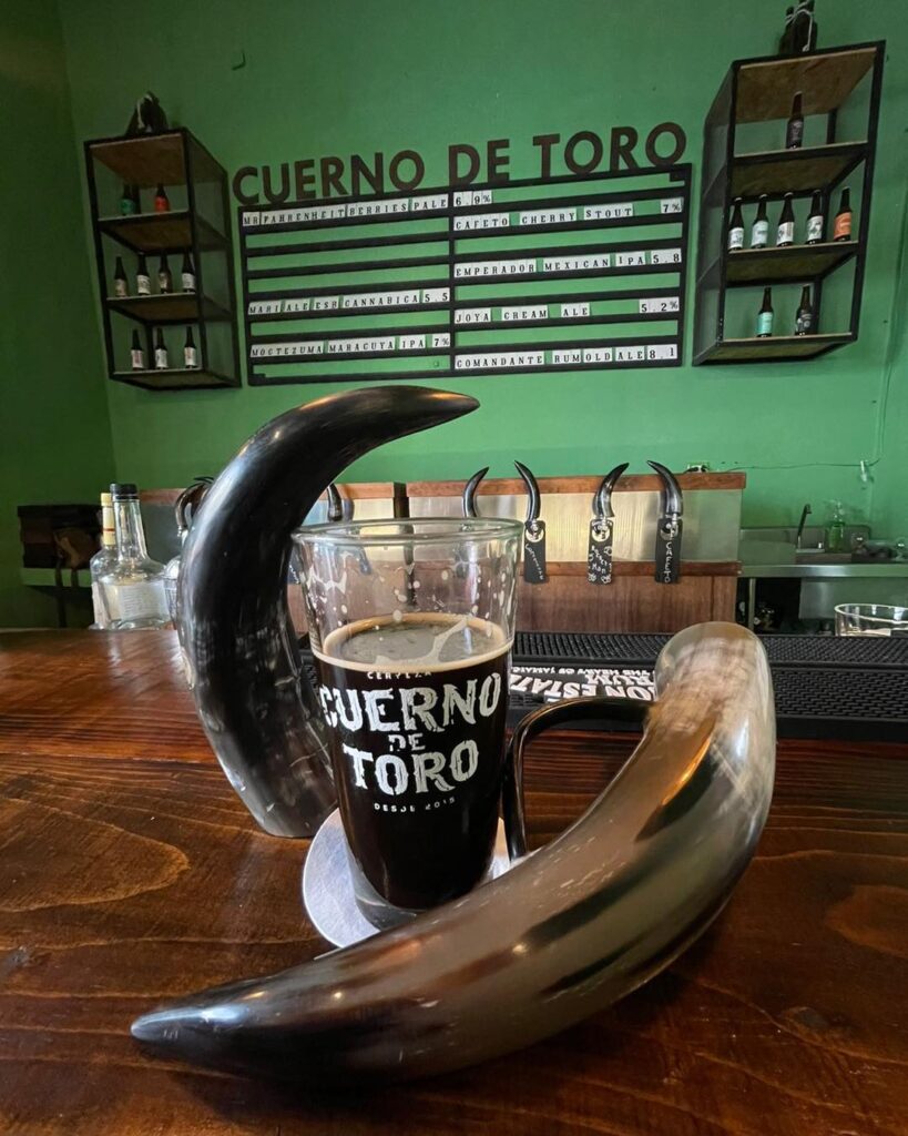 7 Craft Beers that you MUST try in the Mayan Riviera