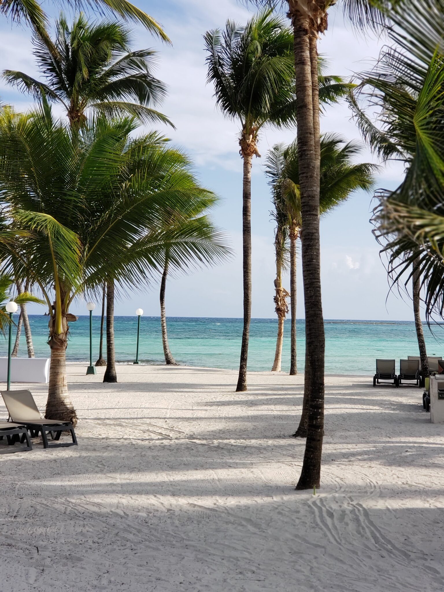 Cancun Uncovered: The Essential Travel Guide to Mexico's Coastal ...