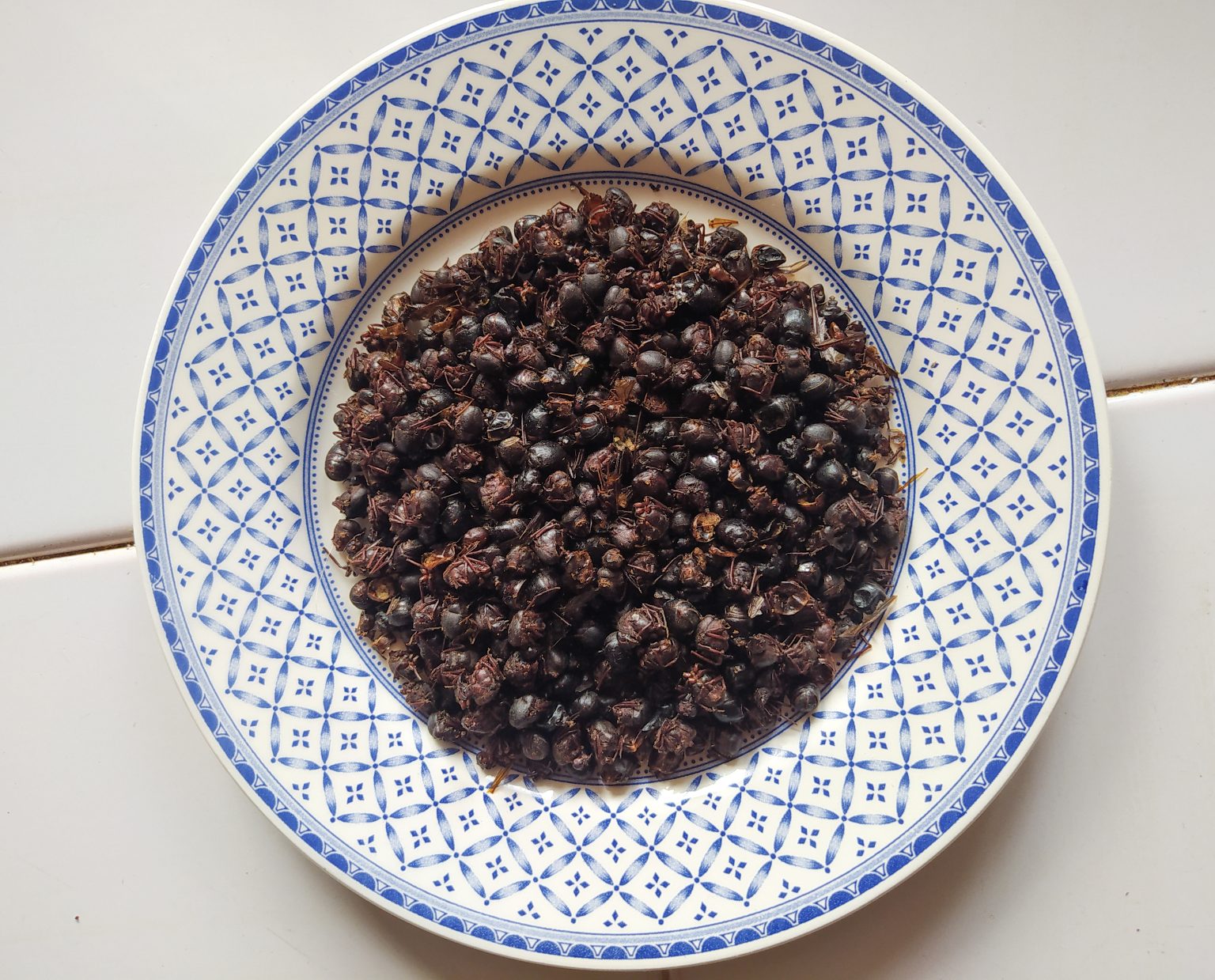 Top Mexican Edible Bugs - Eating With Carmen Food Tours